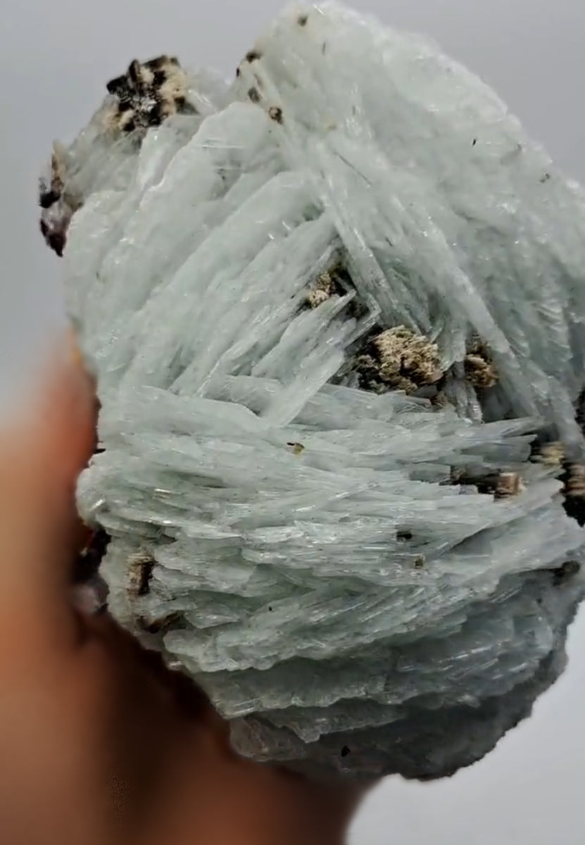 EXTREMELY RARE Huge Cleavelandite w/Mica Amazing Crystal for Transitio ...